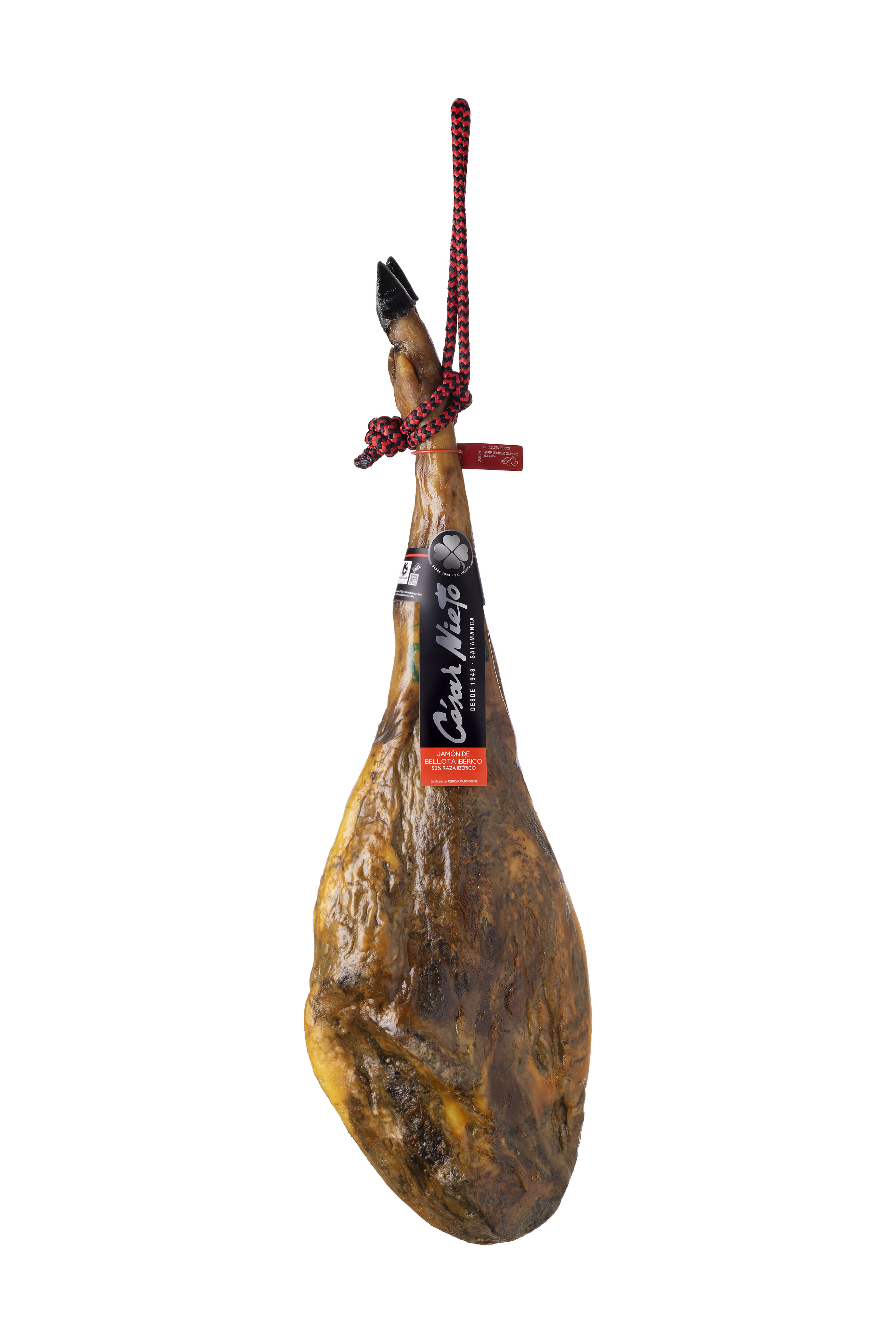 IBERICO PORK BONE-IN BELLOTA HAM-CÉSAR NIETO IBÉRICOS